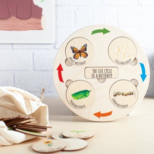 Montessori Life Cycle Puzzle, Montessori Nature Educational Toys ...