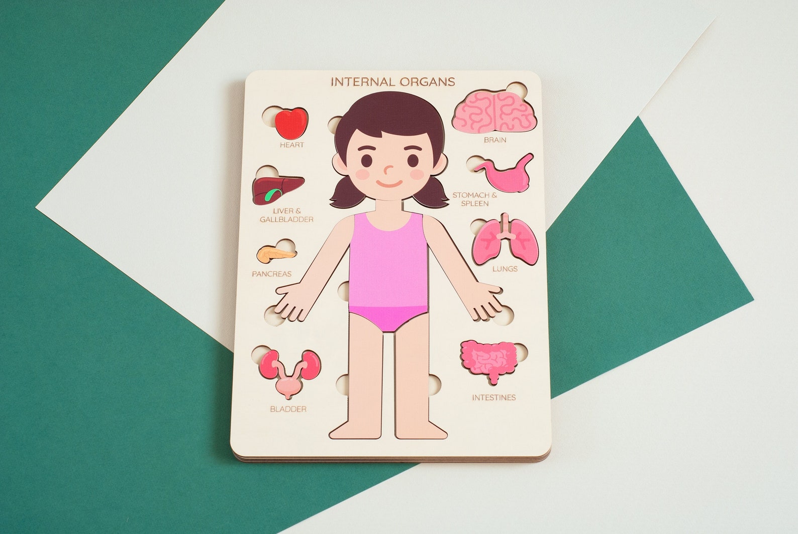 Human Body Puzzle Anatomy Puzzle Montessori Toys Anatomy - Etsy