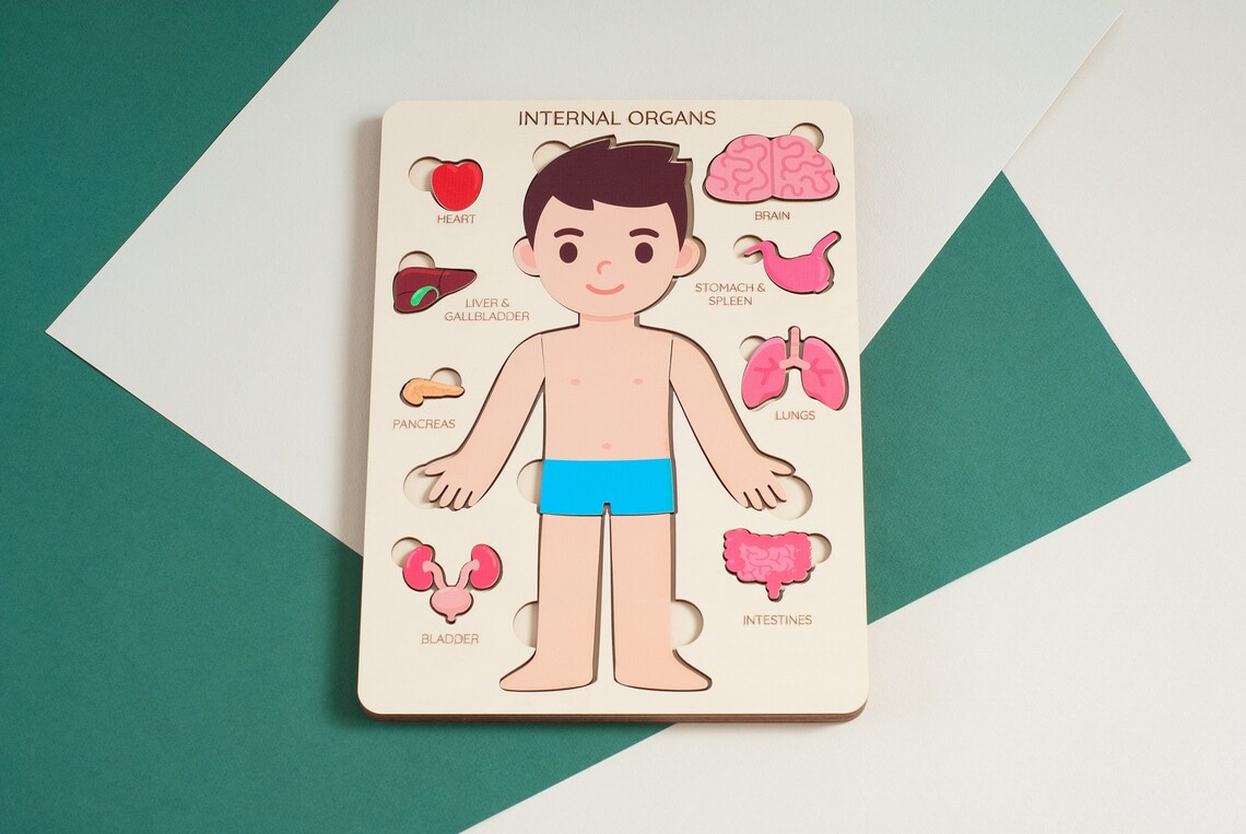 Gifts for Kids Human Body Puzzle Jigsaw Puzzle Kids Gifts | Etsy