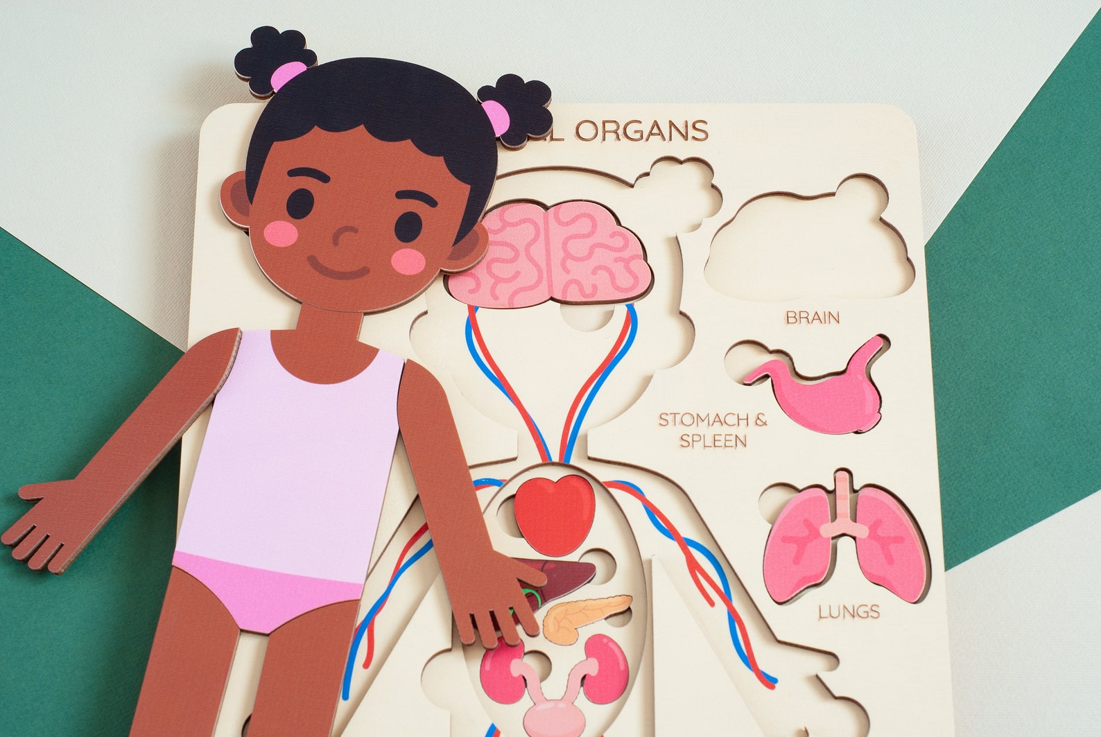 Learning Human Body Internal Organs Medical Pretend Play | Etsy