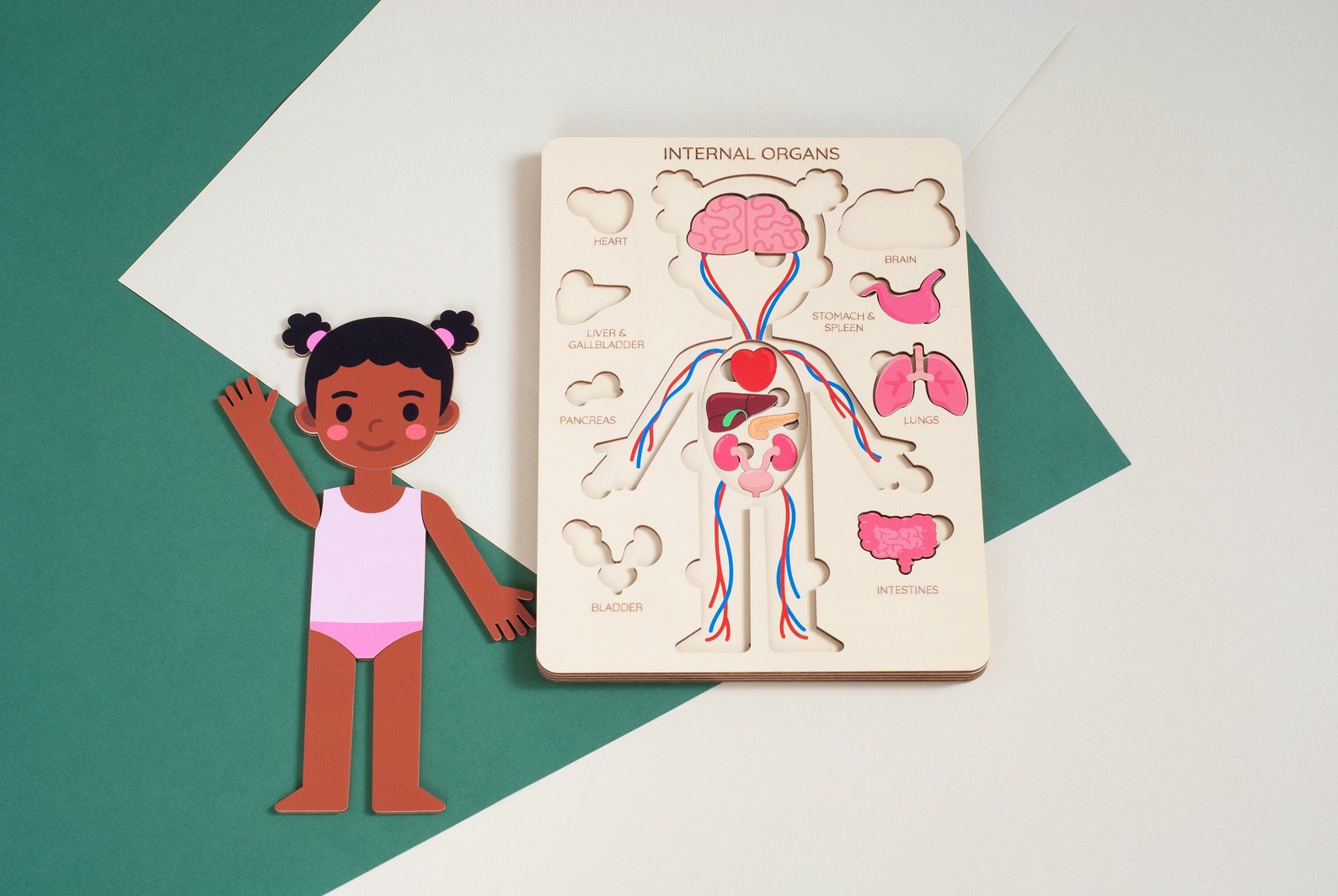 Learning Human Body Internal Organs Medical Pretend Play | Etsy