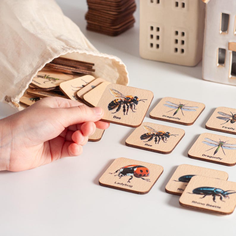 Birds Bugs Dinosaurs Memory Game, Montessori Flash Memory Card Set for ...