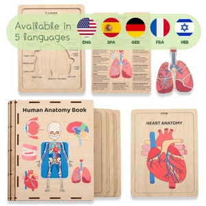 Wooden Book Puzzle Human Anatomy, Homeschool Learning, Human Body Toy ...