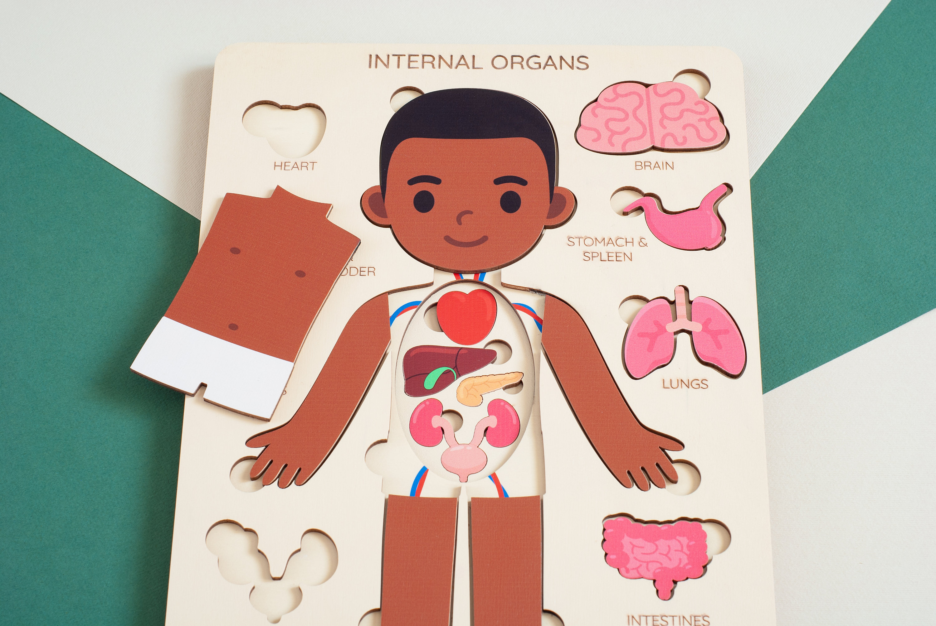 Gifts for Kids educational wood toys Internal organs Human body puzzle ...