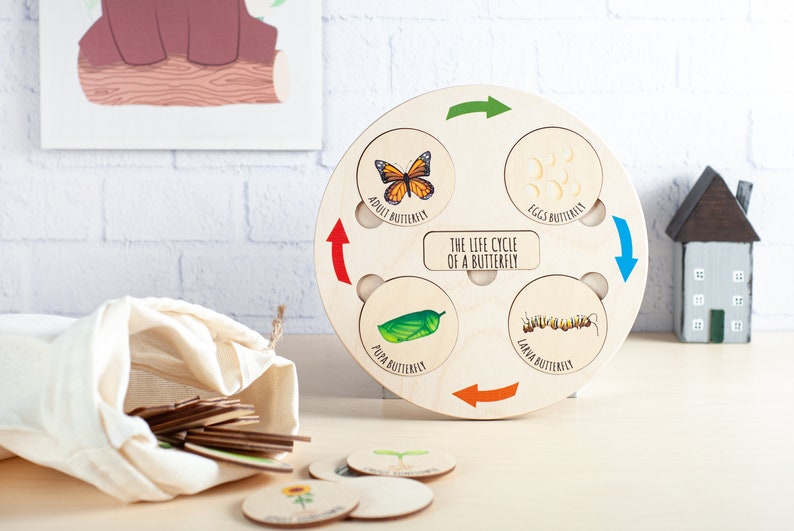 Montessori Life Cycle Puzzle Wooden Learning Toys Life Cycle - Etsy