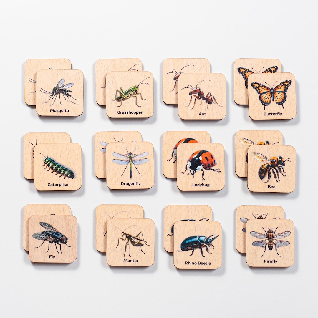 Wooden Bugs Matching Game Cards, Toddler Memory Game, 2 3 Years Old ...