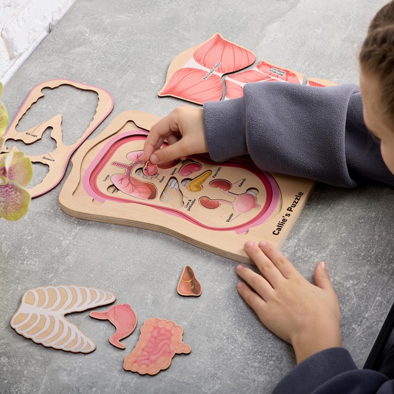 Kids Anatomy Human Body Puzzle, Montessori Toys, Internal Organs ...