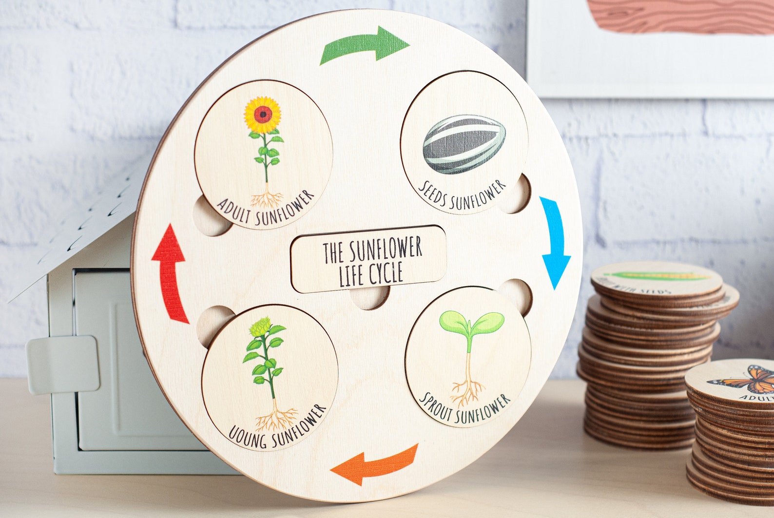 Montessori Life Cycle Puzzle Wooden Learning Toys Life Cycle - Etsy