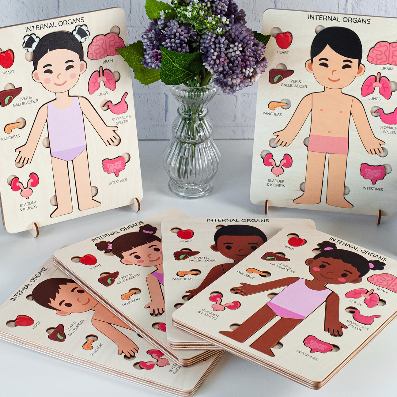 Anatomy Human Body Puzzle by Fistikpuzzles, Learning Internal Organs ...