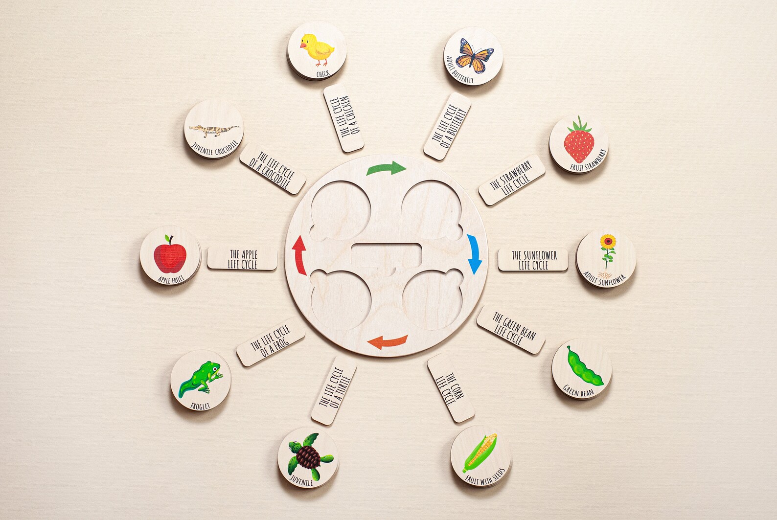 Montessori Life Cycle Puzzle Montessori Nature Educational - Etsy