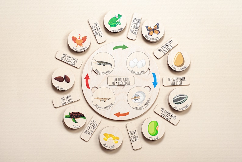 Montessori Life Cycle Puzzle Montessori Nature Educational - Etsy