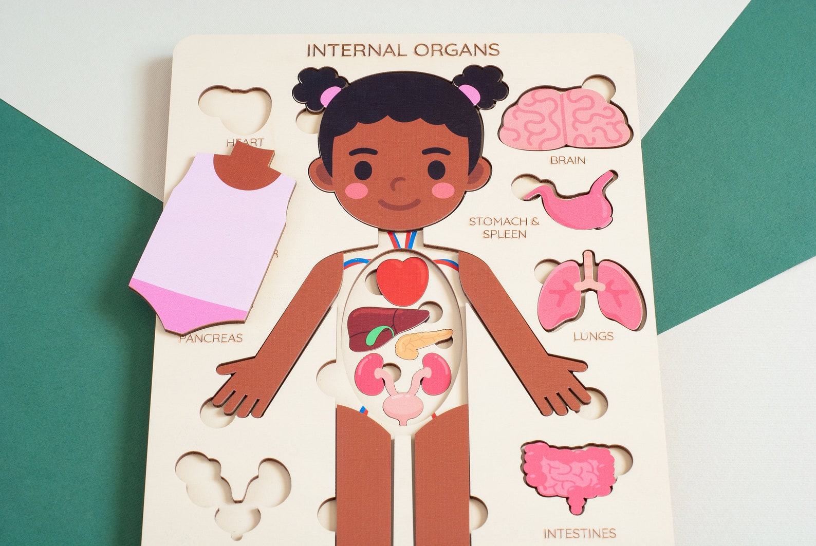 Learning Human Body Internal Organs Medical Pretend Play | Etsy