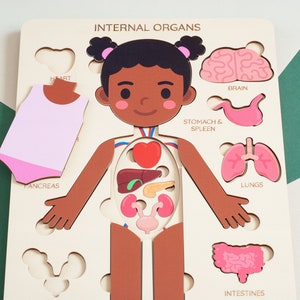 Learning Human Body Internal Organs Medical Pretend Play | Etsy