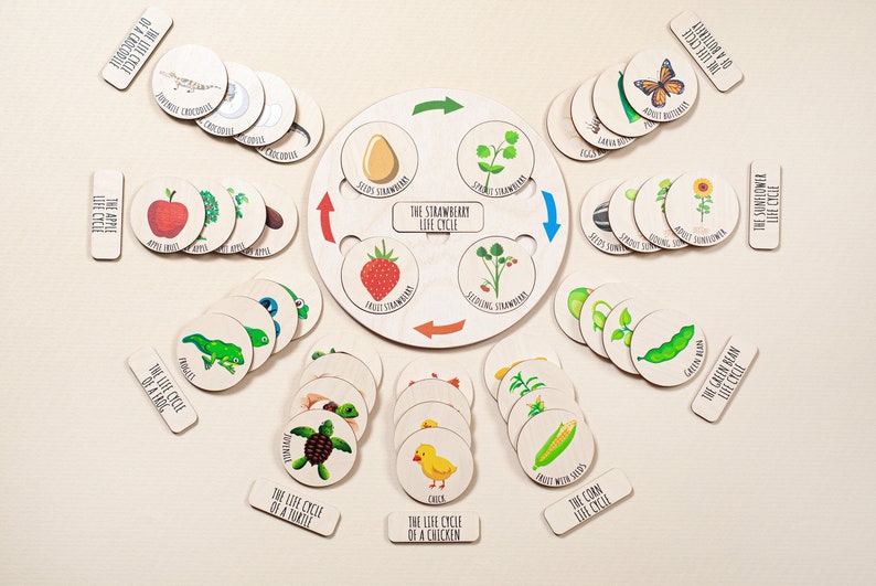 Montessori Life Cycle Puzzle Wooden Learning Toys Life Cycle - Etsy