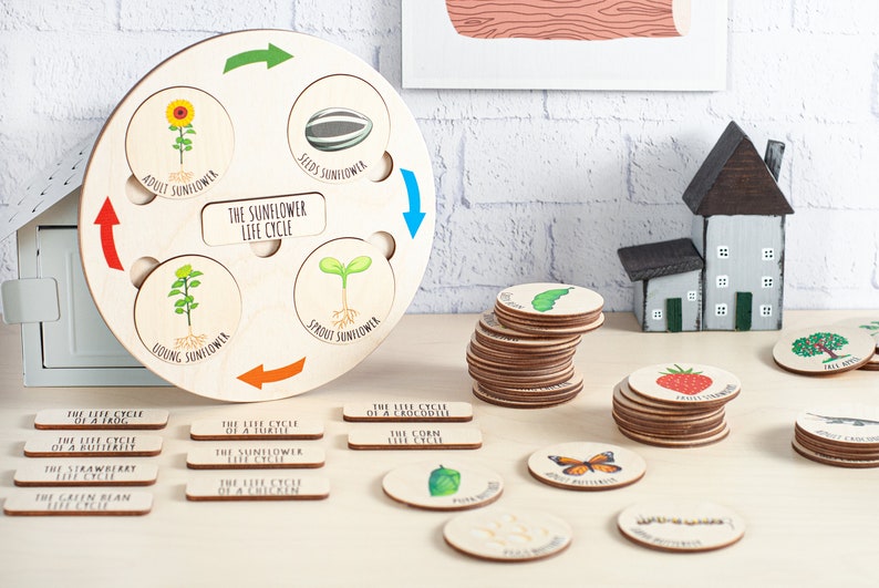 Montessori Life Cycle Puzzle Montessori Nature Educational - Etsy