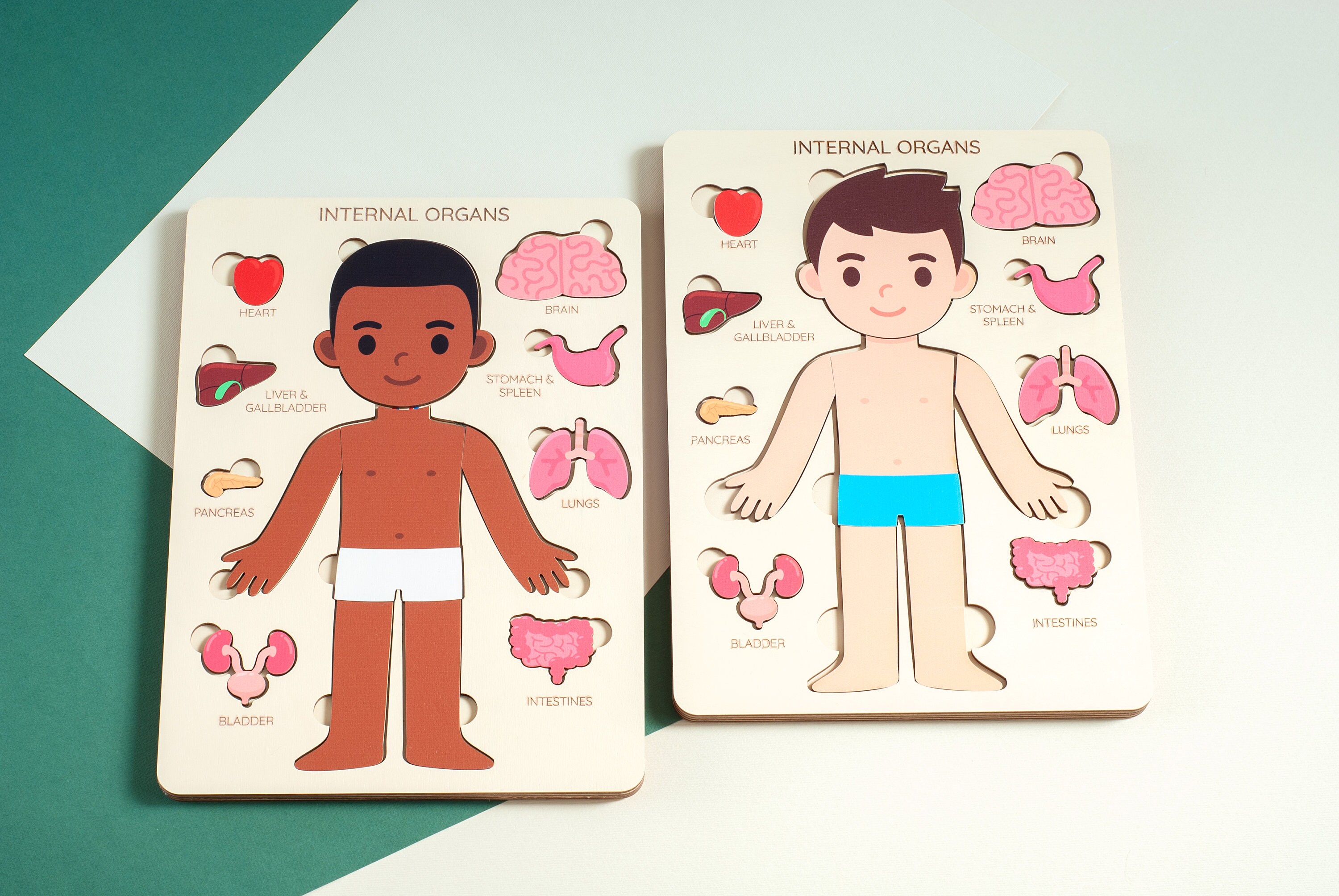 Gifts for Kids educational wood toys Internal organs Human body puzzle ...