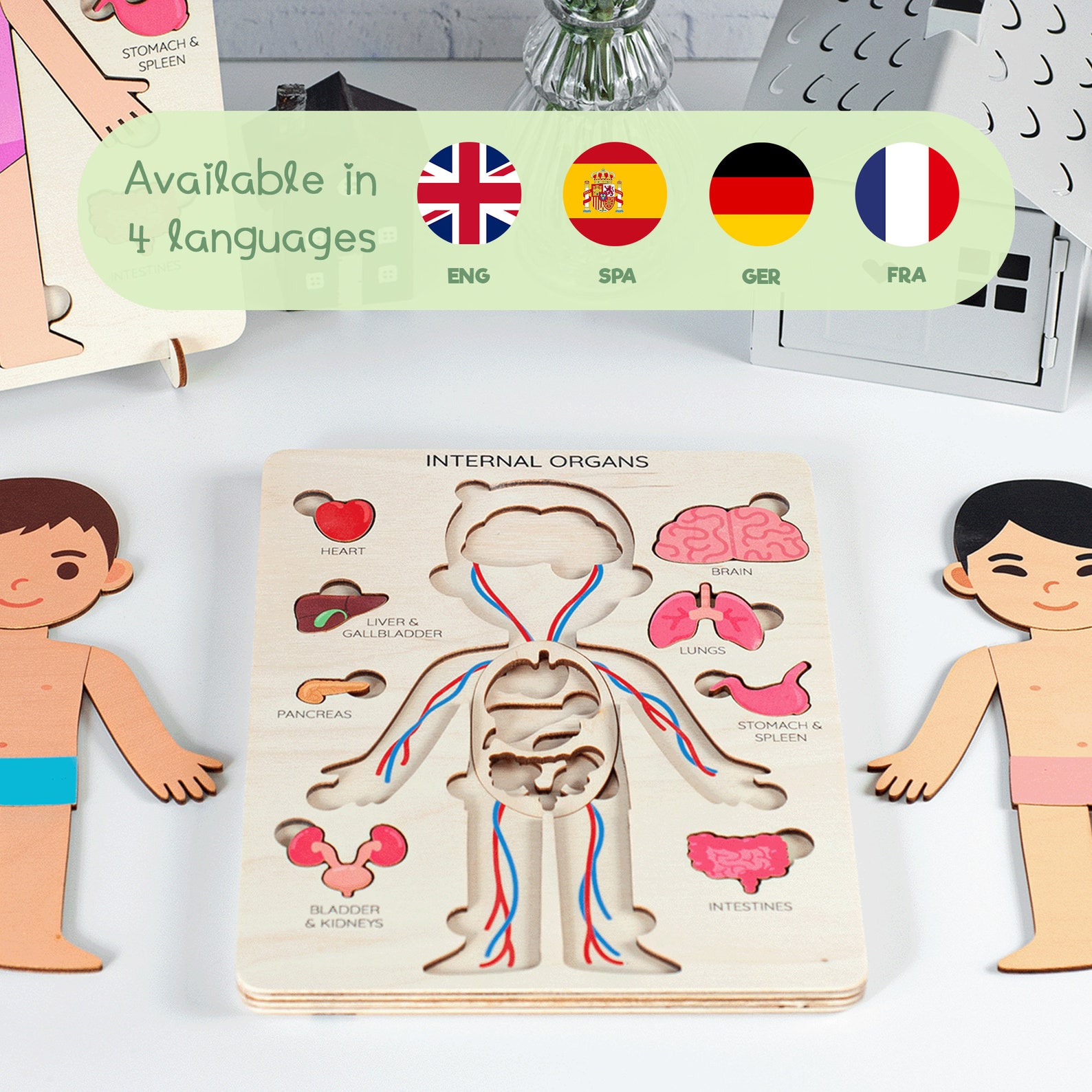 Anatomy Human Body Puzzle by Fistikpuzzles, Learning Internal Organs ...