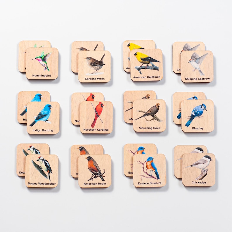 Matching Flash Cards Memory Game, Montessori Toys, Gift for Toddlers ...