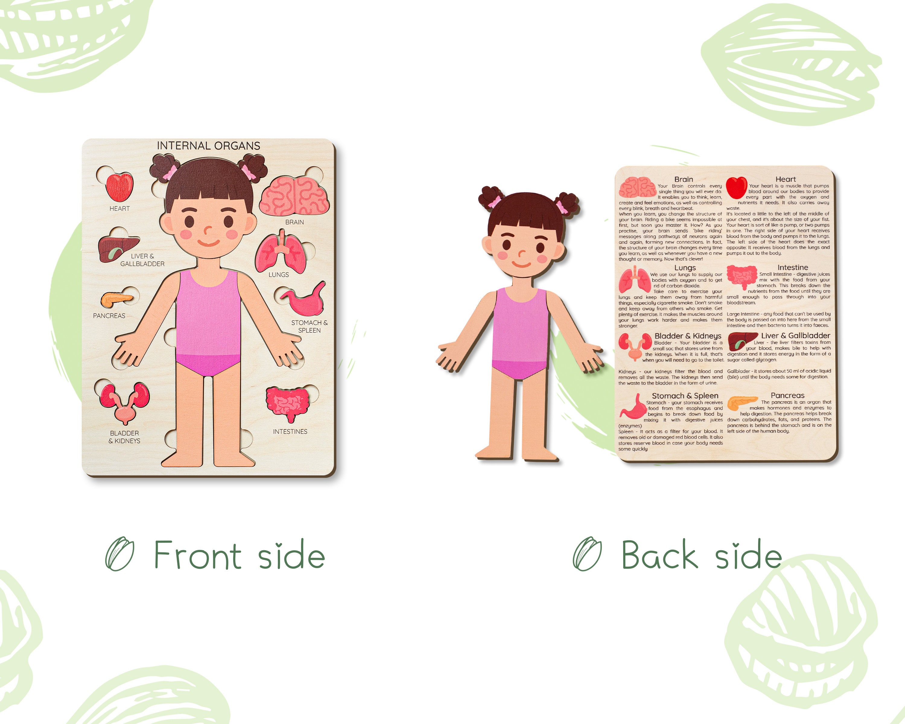 Anatomy Human Body Puzzle by Fistikpuzzles, Learning Internal Organs ...