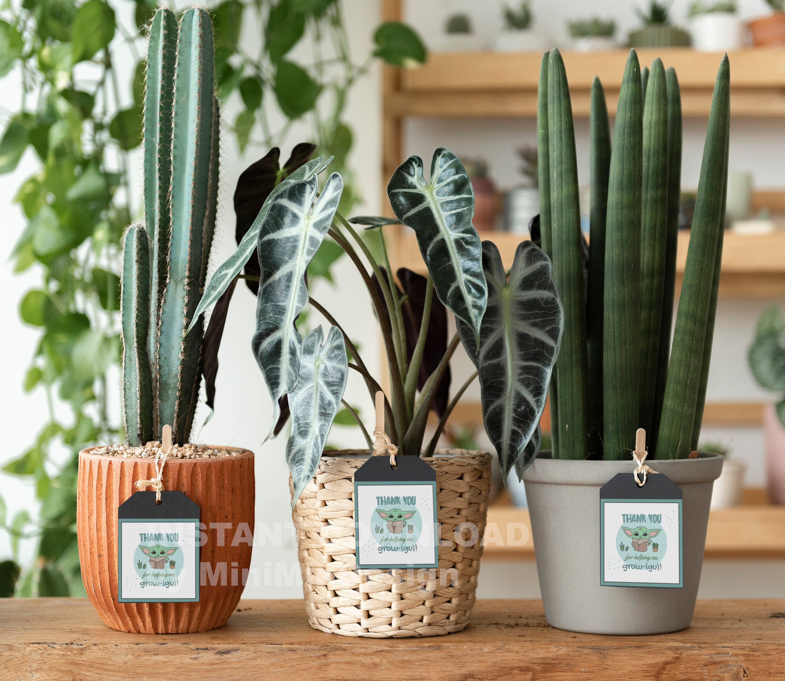 Grogu [grow-gu] Gift Tag, Teacher Appreciation, Thank You for Helping ...