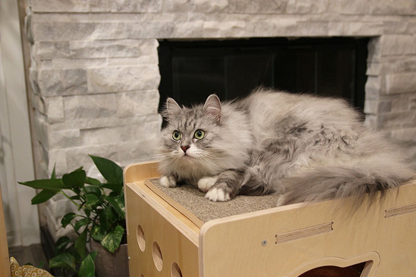 Modern Design Wooden BON Cat House Cat Bed Cat Cot Cat | Etsy