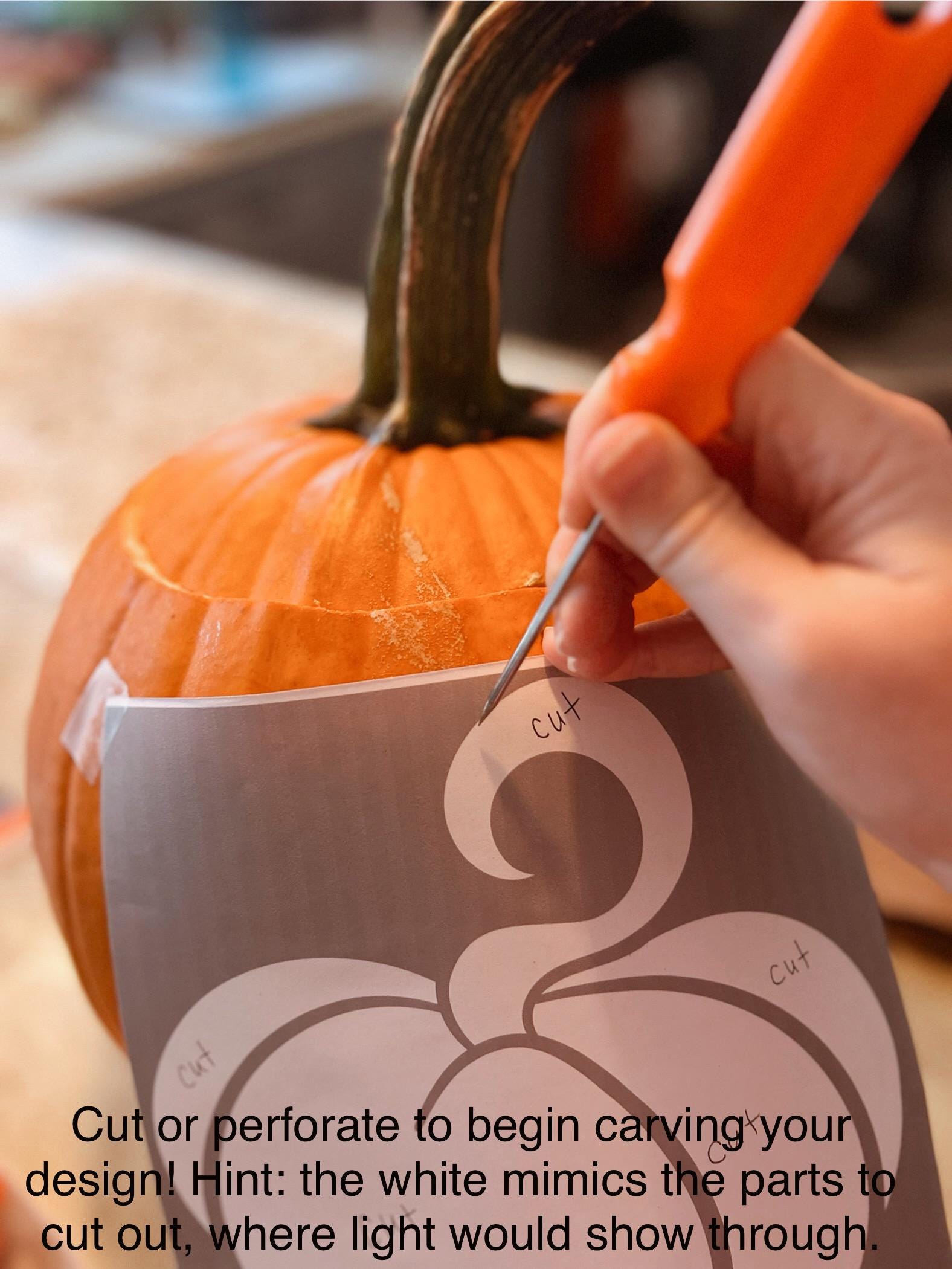 Thanksgiving Stencil Cutouts Printables for Carving or Painting ...