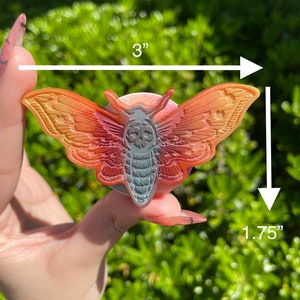 Death Moth Popsocket™, Gradient Moth Popgrip™, Witchy Popsocket, Moth ...