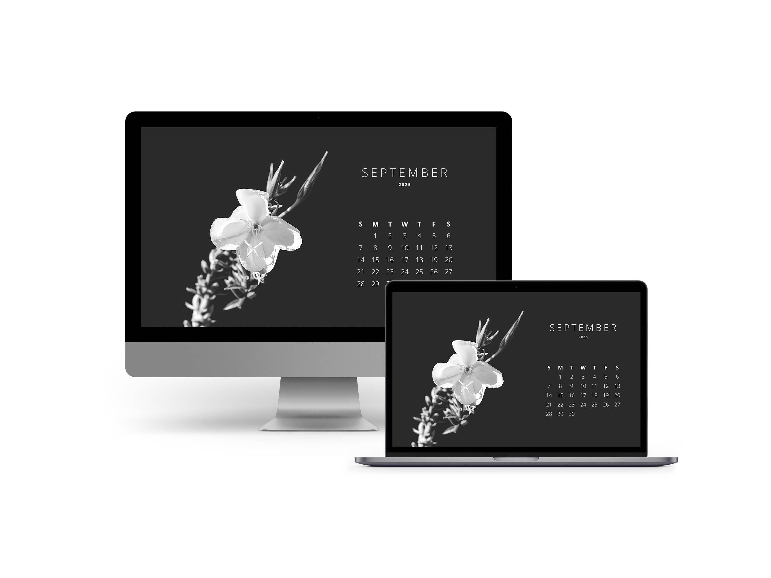 2025 Floral Computer Background Calendar, Dark Black and White Flower ...