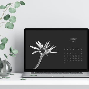 2024 Floral Computer Background Calendar, Dark Black and White Flower ...