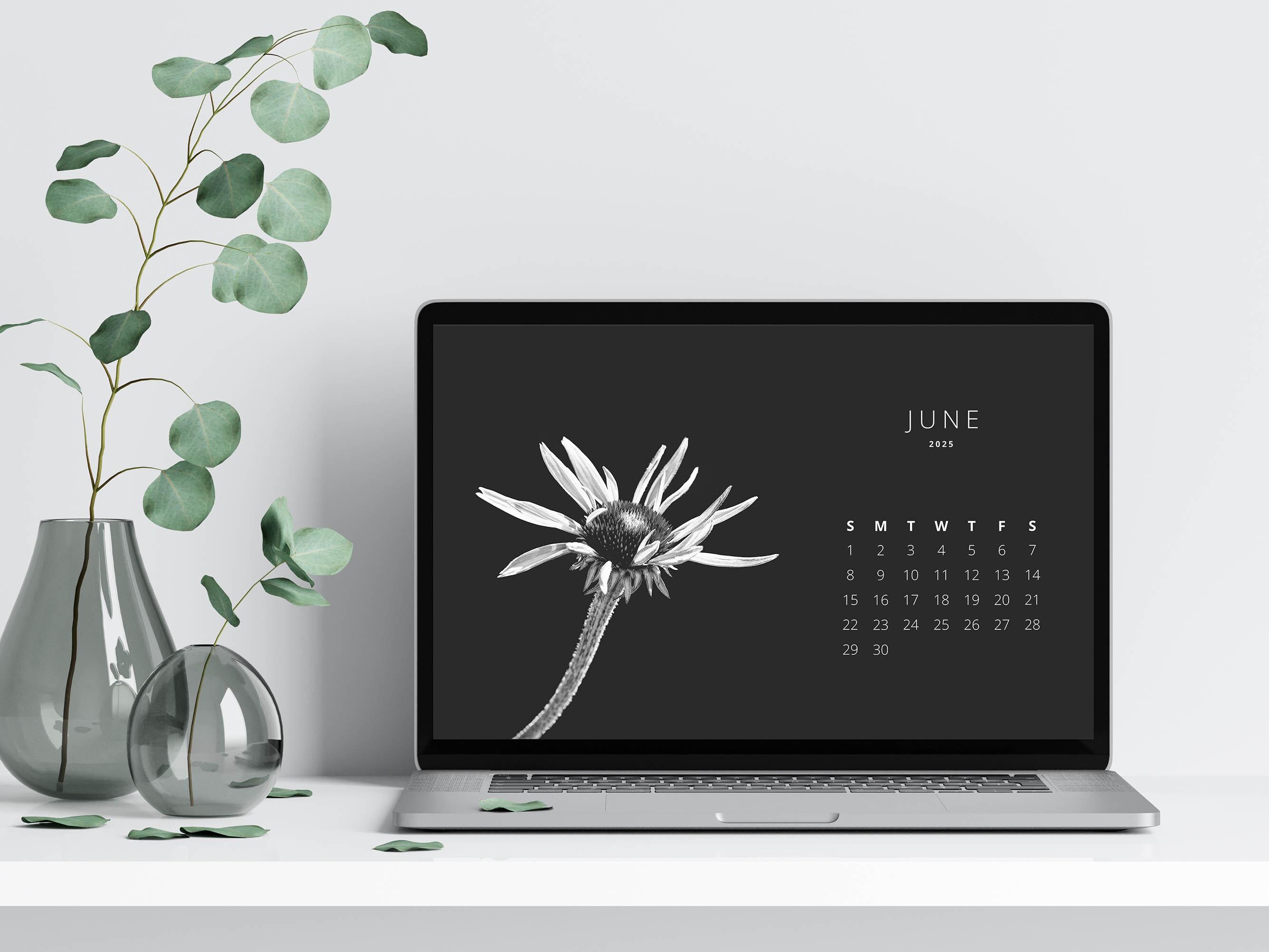 2025 Floral Computer Background Calendar, Dark Black and White Flower ...
