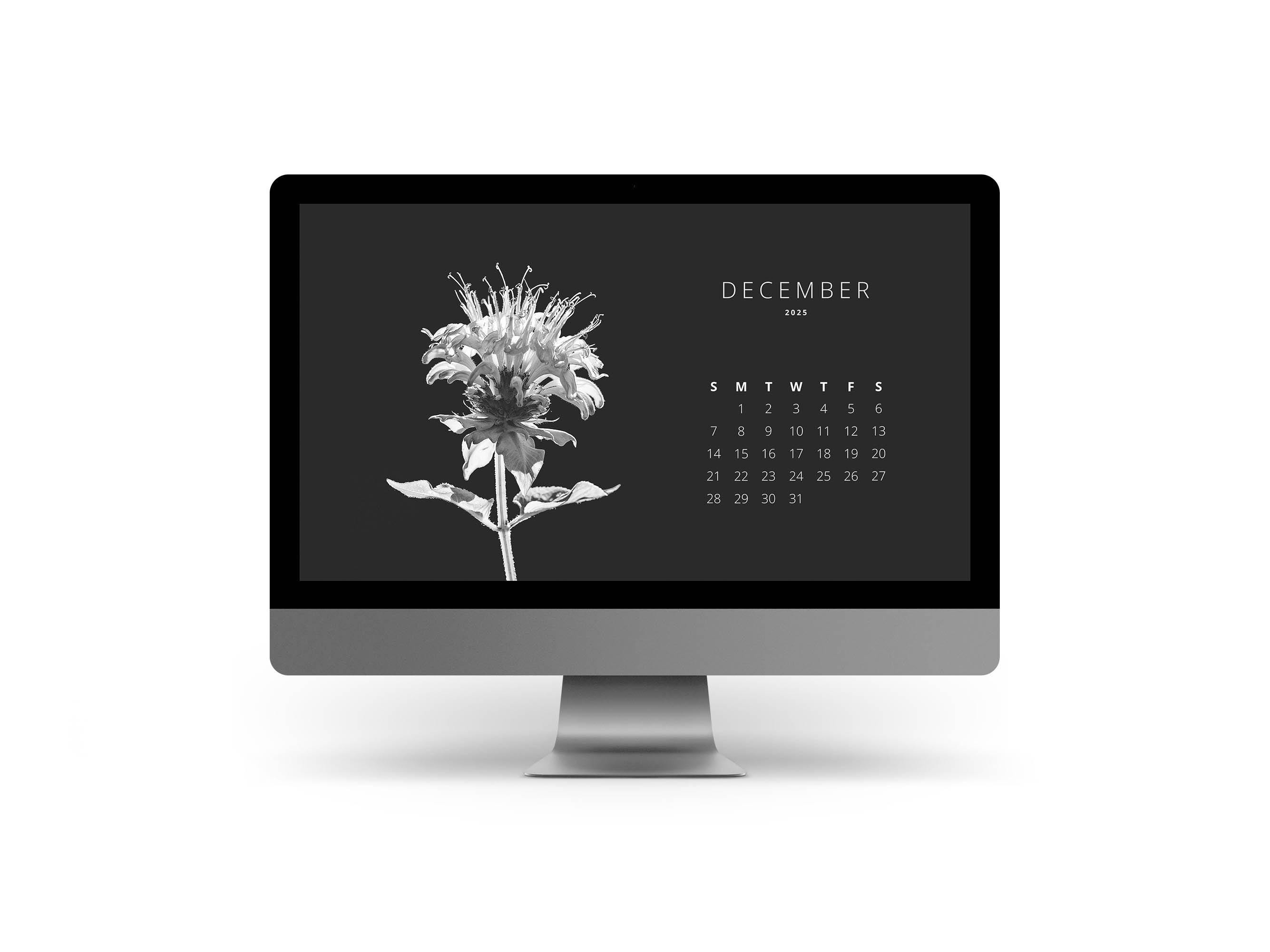 2025 Floral Computer Background Calendar, Dark Black and White Flower ...