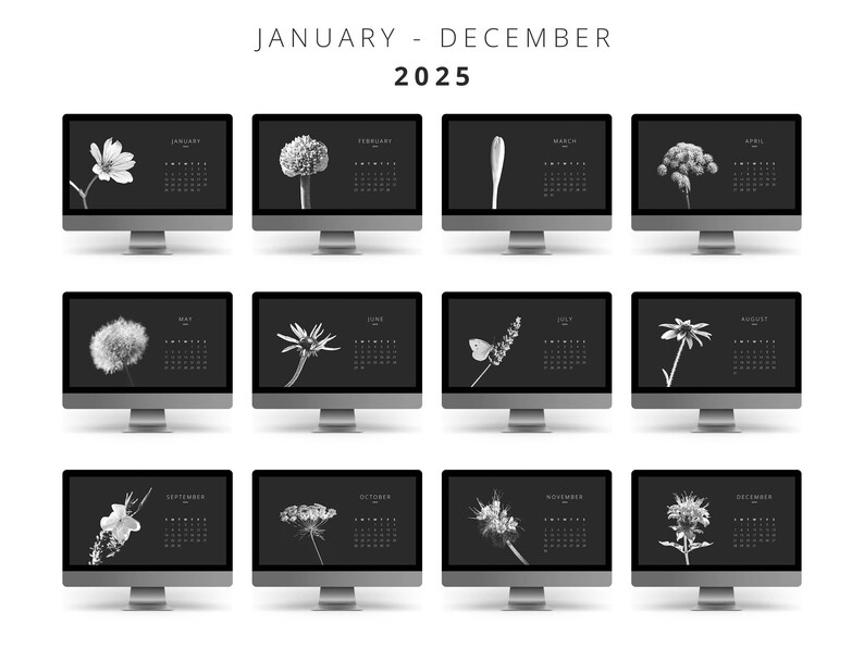 2025 Floral Computer Background Calendar, Dark Black and White Flower ...