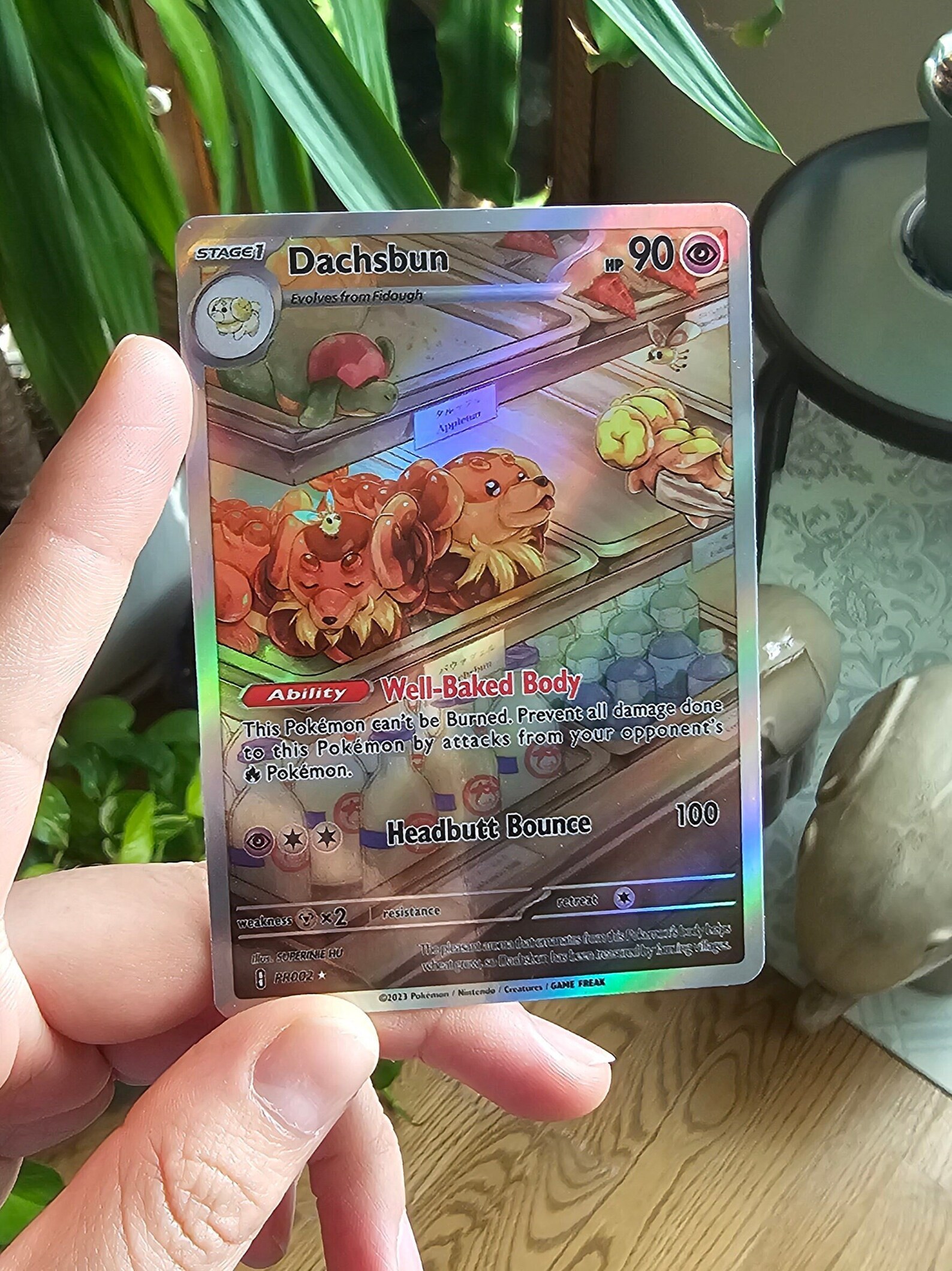 Custom Dachsbun Card - Etsy