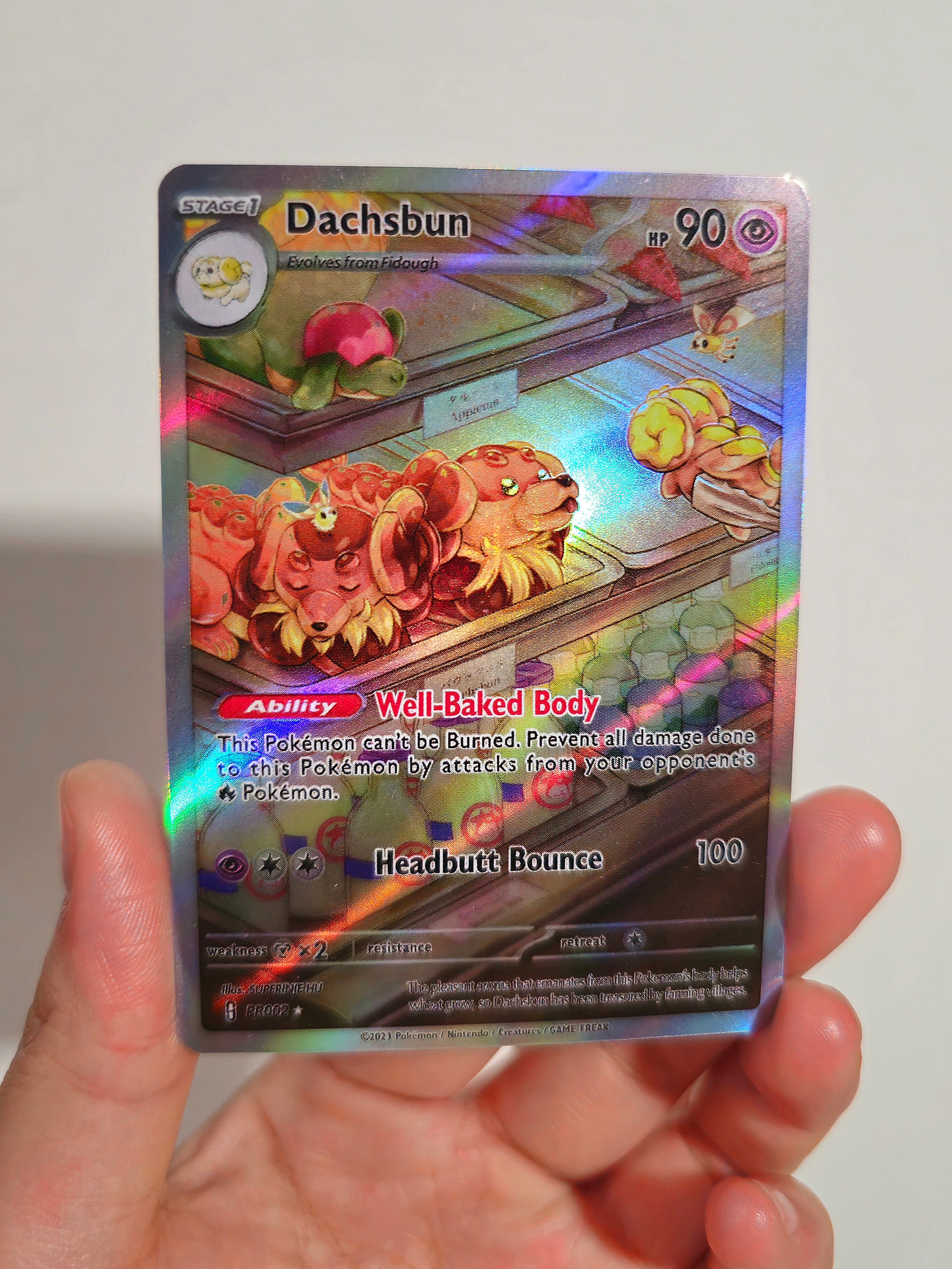 Custom Dachsbun Card - Etsy