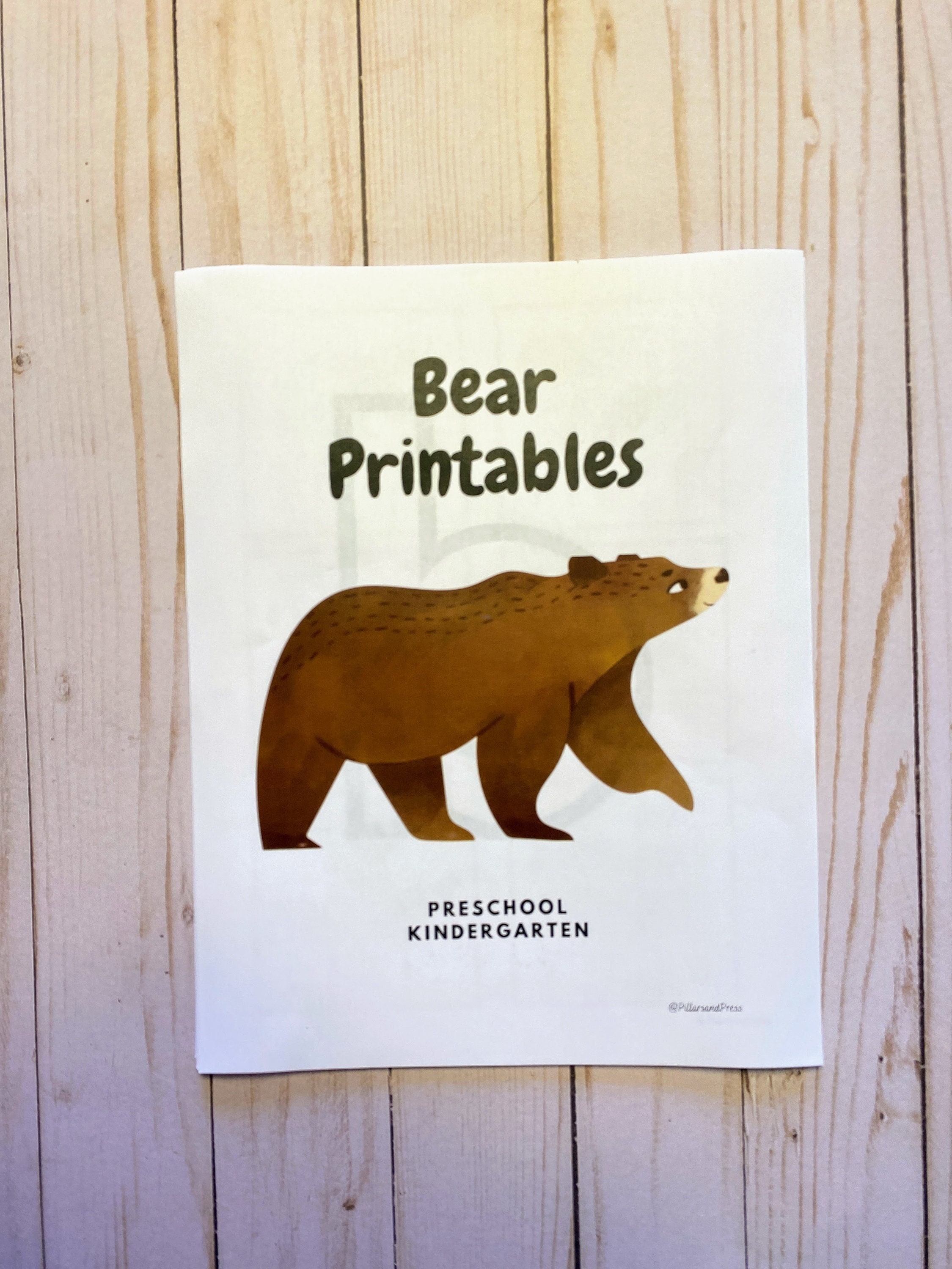 Preschool Bear Printable Activities - Etsy