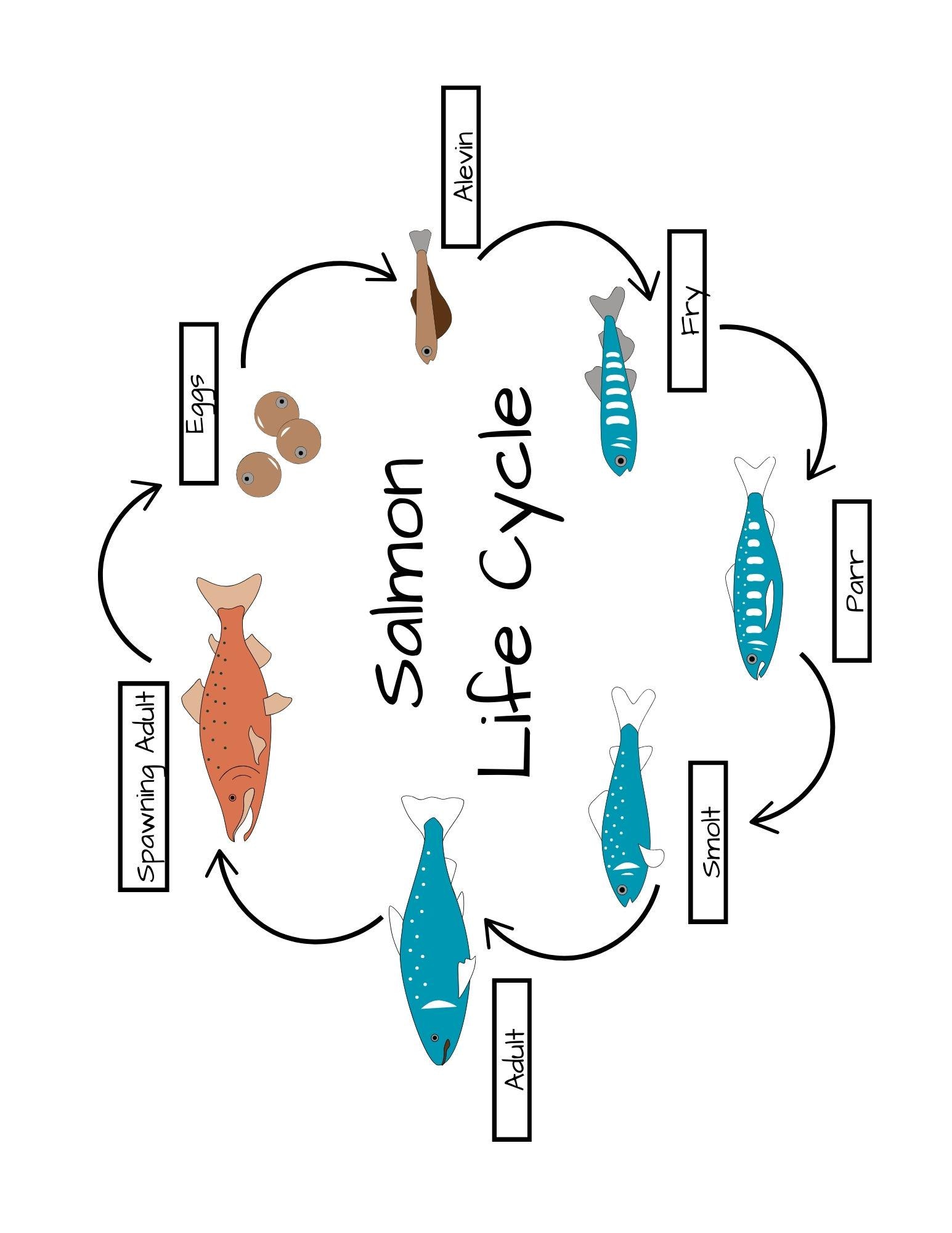 American Girl Unit Study | Kaya - Etsy