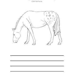 American Girl Unit Study | Kaya - Etsy