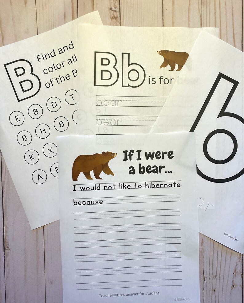 Preschool Bear Printable Activities - Etsy