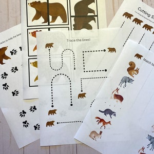 Preschool Bear Printable Activities - Etsy