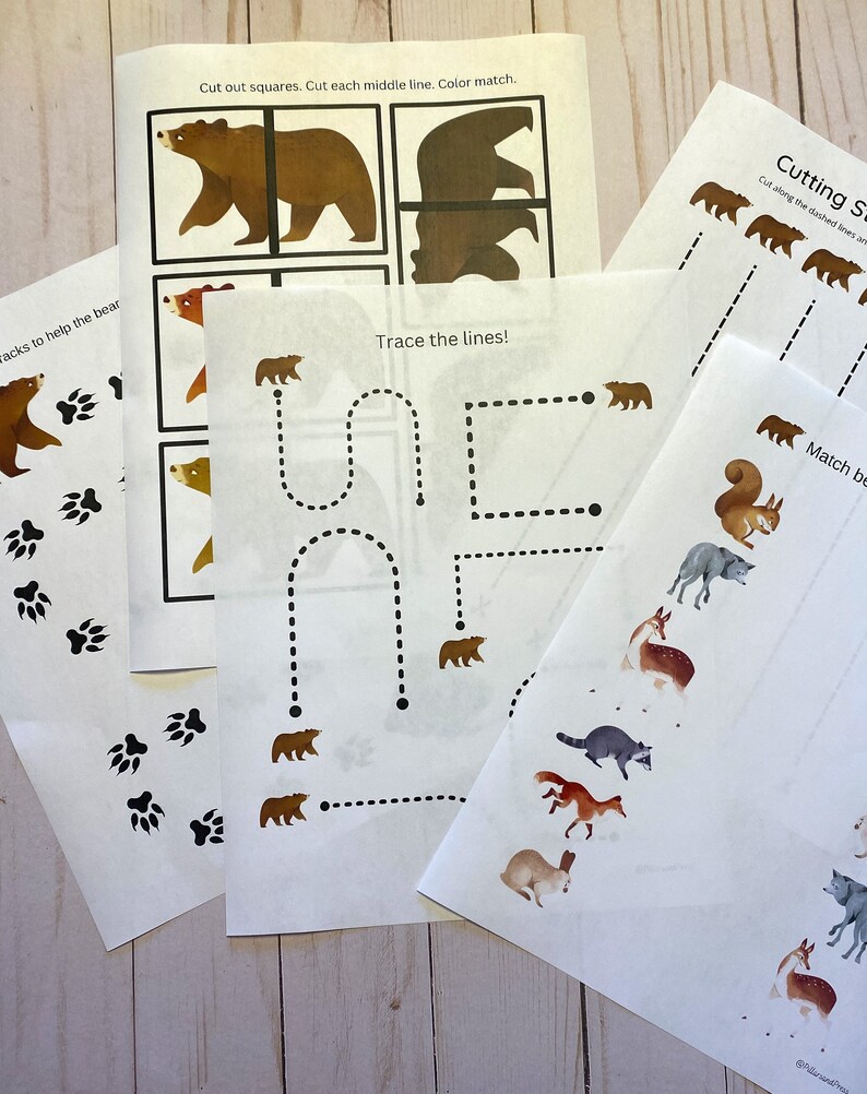 Preschool Bear Printable Activities - Etsy