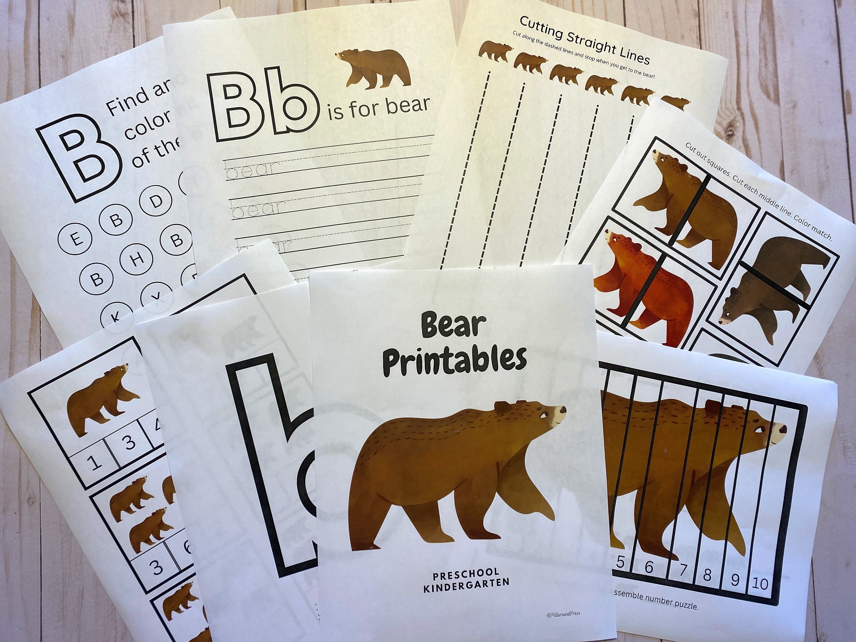 Preschool Bear Printable Activities - Etsy