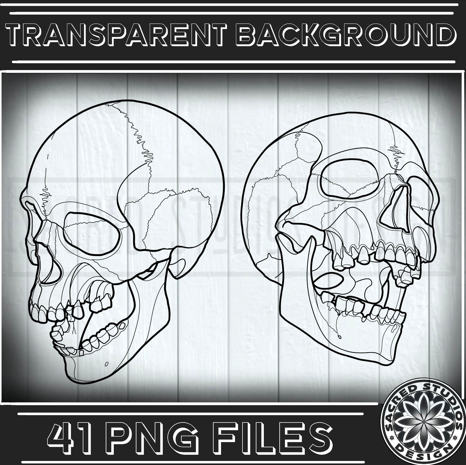 41 Human Skulls PNG File Download High Resolution - Etsy