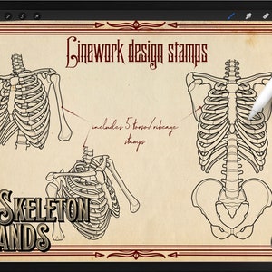 32 Skeleton Hands/ribcages Tattoo Stamp Brush Set for Procreate! - Etsy