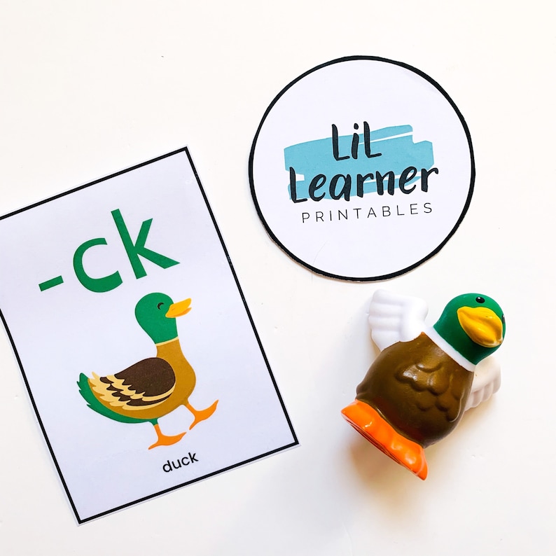 Printable Educational Activity Homeschool Primary School Etsy printable-educational-activity-homeschool-primary-school-etsy