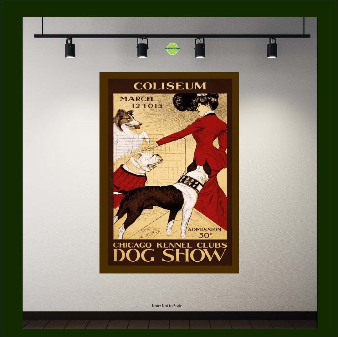 Chicago Kennel Club Dog Show Poster. 1902 Lithograph George - Etsy