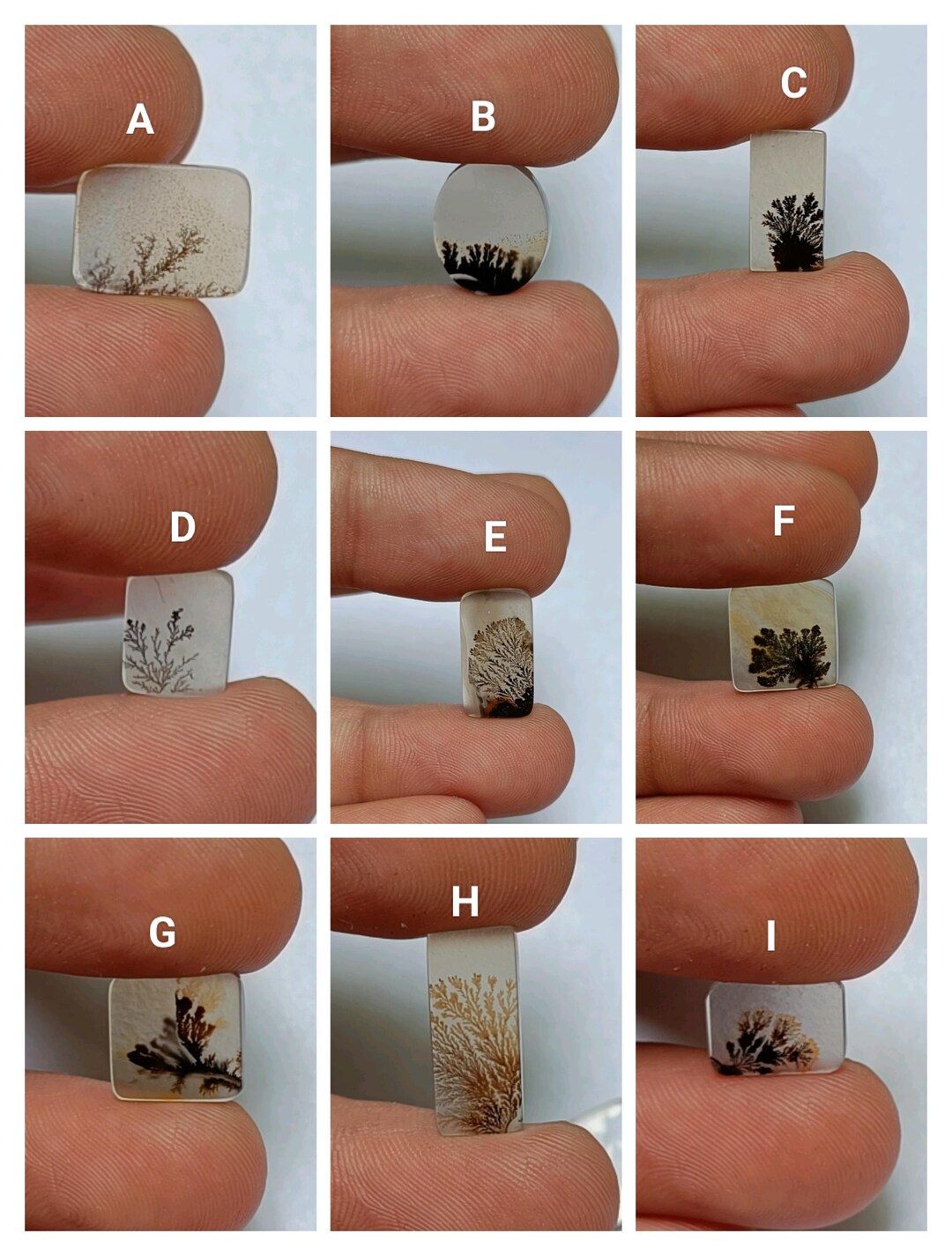 Aaa+++top Natural Shazar Dendrite Gemstone Flat Cabochon UNIQUE~ Shazar ...