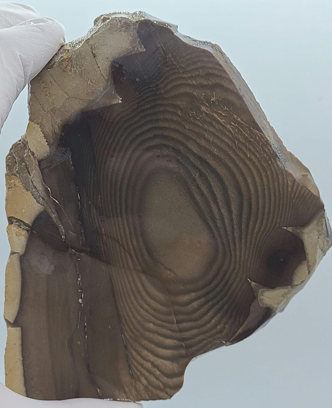 Flint, Lapidary Slabs, Rock Slab - Etsy