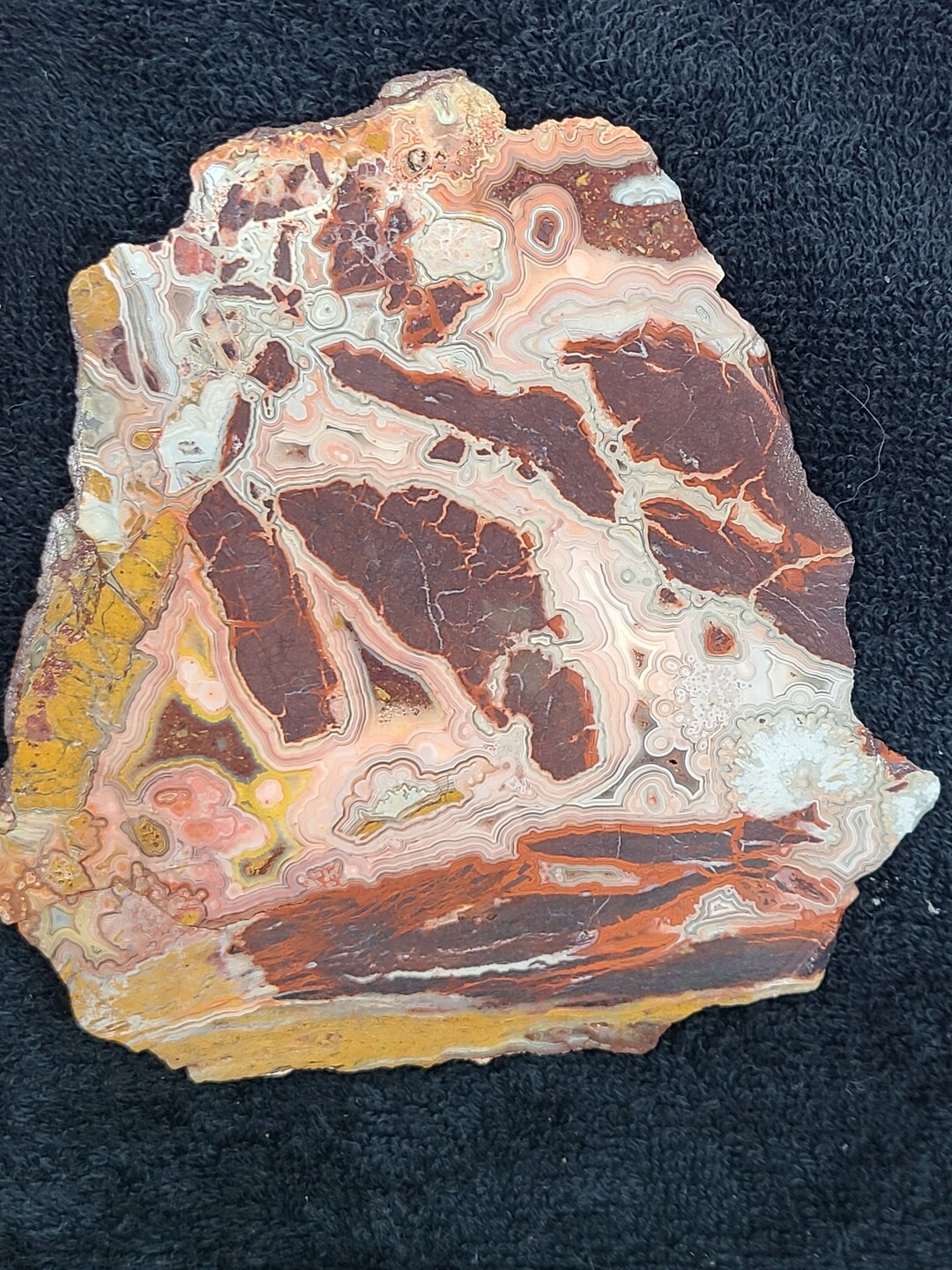 Crazy Lace, Lapidary Slabs, Rock Slab - Etsy