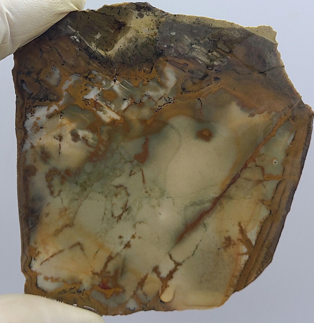 Jasper Oregon, Lapidary Slabs, Rock Slab - Etsy