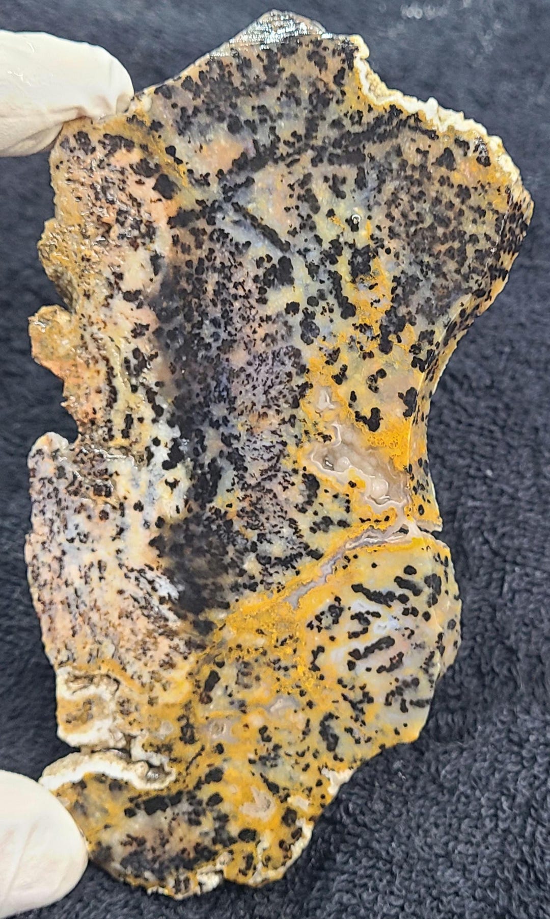 Cheetah Stone, Lapidary Slabs, Rock Slab - Etsy